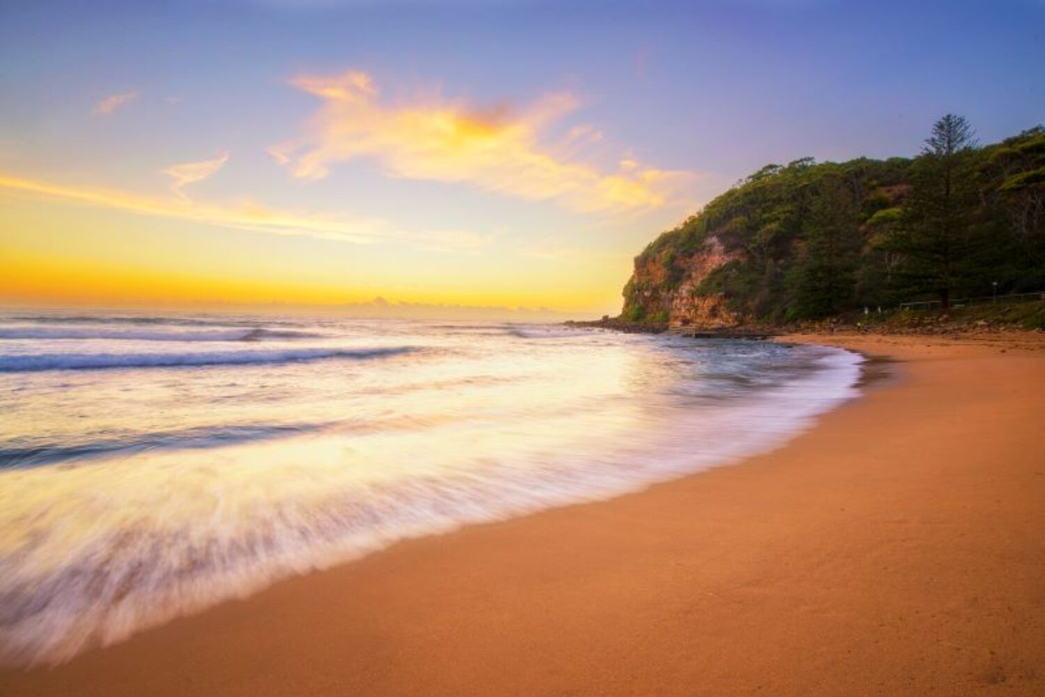 Progress Association Meeting | MacMasters Beach Progress Association Progress Association Meeting | MacMasters Beach Progress Association