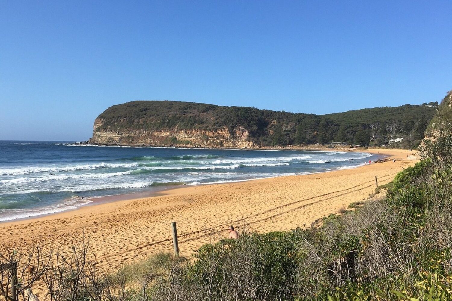 Progress Meeting | MacMasters Beach Progress Association Progress Meeting | MacMasters Beach Progress Association